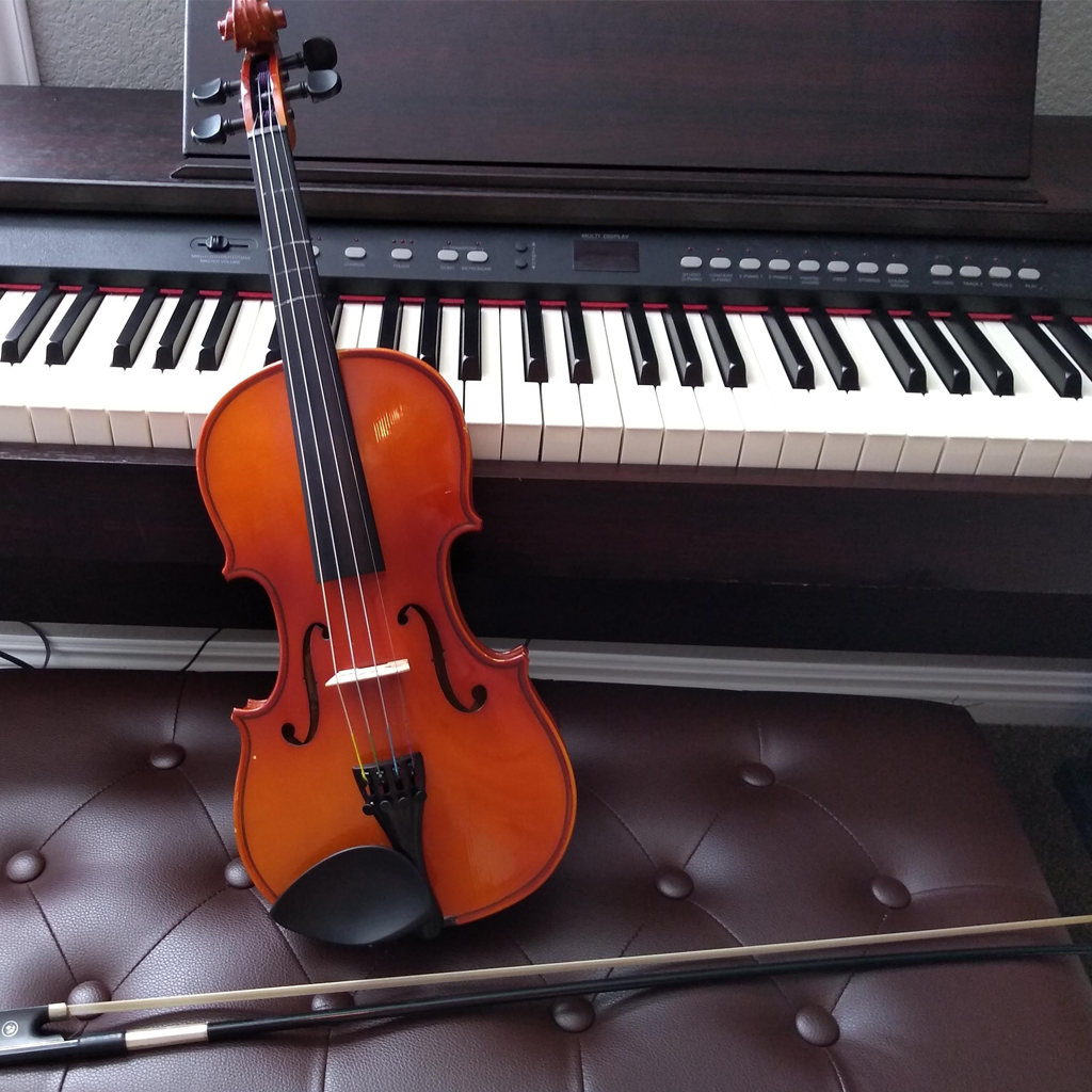Music - Ant Art